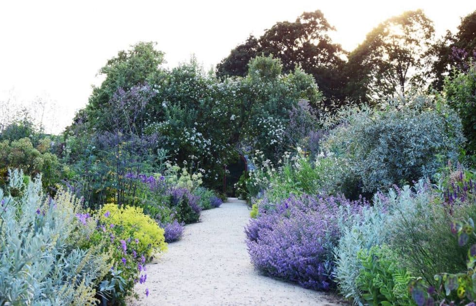 Landscape Layering: How to Create an Amazing Landscape