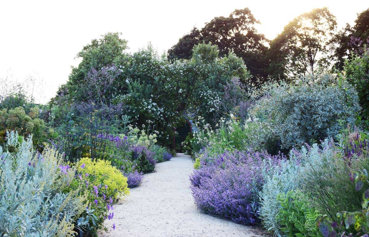 Landscape Layering: How to Create an Amazing Landscape