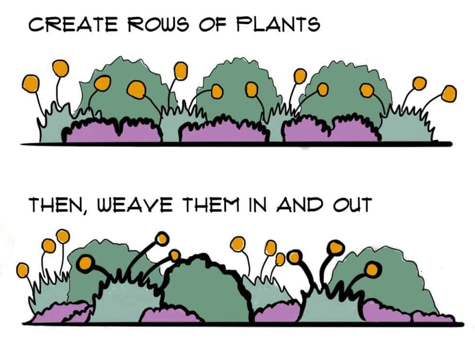 Arrange Plants In Your Garden - 4 Simple Ways