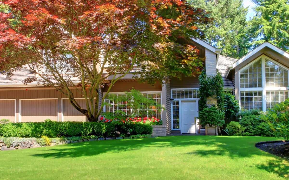11 Smart Foundation Planting Tips for Year-Round Curb Appeal