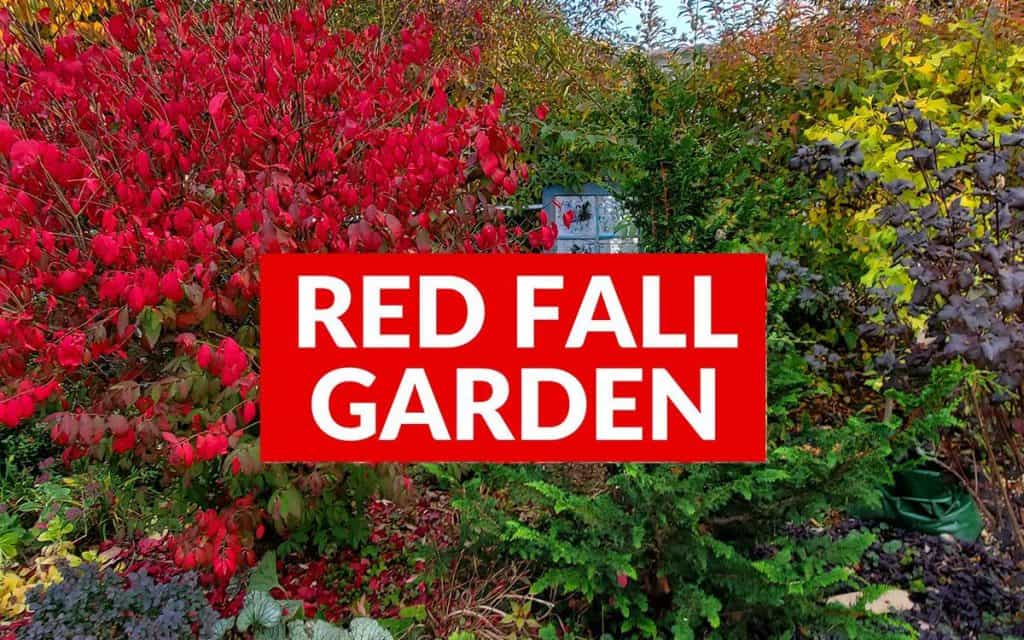 Red Fall Color: 14 Gorgeous Plant Picks for a Fiery Autumn Garden