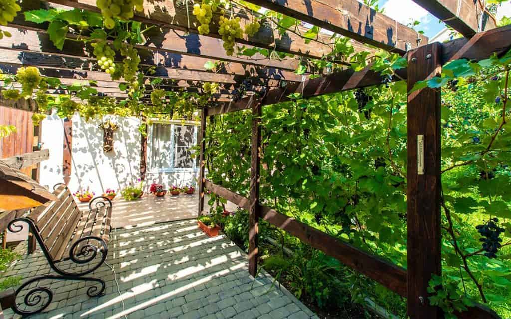 10 Easy Privacy Ideas for a More Secluded Yard